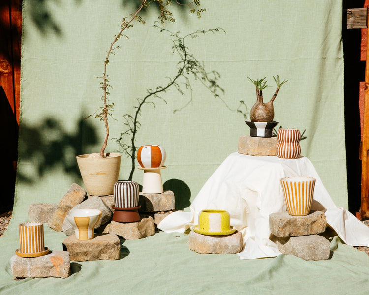 Mipa's pots and plants